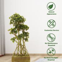 China China Wholesale Boxwood Tree Decoration Plant Artificial Boxwood Tree Bonsai For Decoration for sale