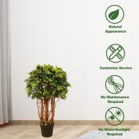 China Boxwood Tree With Multi Trunks Artificial Boxwood Tree For Indoor Decoration for sale