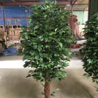 China Potted Ficus Plant Faux Artificial Ficus Tree Indoor Green Tree with Exquisite Design for sale