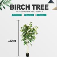 China Factory Handmade Artificial White Birch Bonsai With Real Bark For Landscaping Decorative And Courtyard Decoration for sale