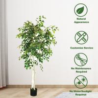 China Factory Handmade Artificial White Birch Bonsai With Real Bark For Landscaping Decorative And Courtyard Decoration for sale