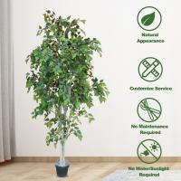 China Besting Selling No Nursing Artificial White Birch Bonsai Evergreen With Real Bark For Balcony for sale