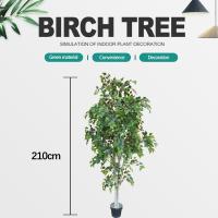 China Besting Selling No Nursing Artificial White Birch Bonsai Evergreen With Real Bark For Balcony for sale