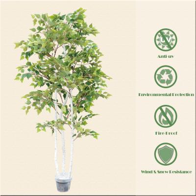 China Ornamental Plant Artificial Radermachera sinica Indoor Landscape Natural Greening for sale