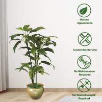 China Faux DIEFFENBACHIA PLANT Custom Size No Maintenance Required Cozy Indoor Decor No Nursing Bonsai for sale