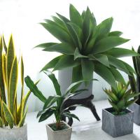 China Plastic Artificial Plants Succulents Wedding Indoor Decorative for sale