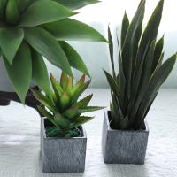 China Plastic Artificial Plants Succulents Wedding Indoor Decorative for sale
