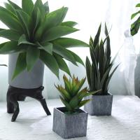 China Plastic Artificial Plants Succulents Wedding Indoor Decorative for sale