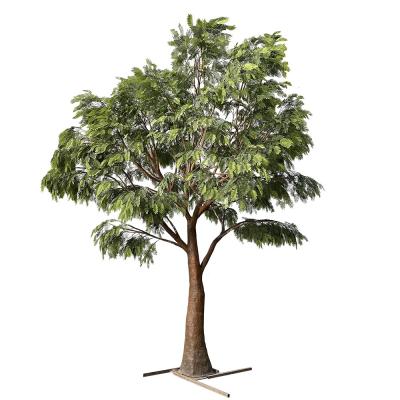 China Anti UV Artificial Babul Trees For Outdoor Landscape Evergreen 5.5 Meters Fiber Glass for sale