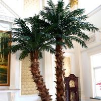 China Washington Coconut Artificial Landscape Trees Hotel Restaurant Anti UV Long Lifespan 2-10 Meter for sale