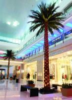 China Washington Coconut Artificial Landscape Trees Hotel Restaurant Anti UV Long Lifespan 2-10 Meter for sale