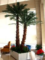 China Washington Coconut Artificial Landscape Trees Hotel Restaurant Anti UV Long Lifespan 2-10 Meter for sale