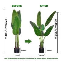 China 160cm Artificial Office Plant Indoor Traveler'S Palm Fake Potted Trees for sale