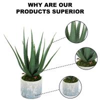 China Customizable Landscape 23CM Artificial Potted Floor Plants Green Aloe Garden Decoration for sale