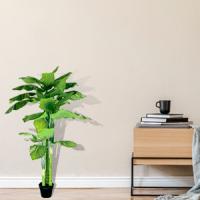 China Artificial Dieffenbachia Potted Plants 160cm Home Decor Floor Plants Evergreen Fabric for sale