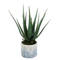 China 25cm High Plastic Artificial Aloe For Dining Room Holiday Decor for sale
