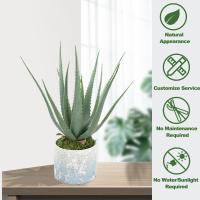China 25cm High Plastic Artificial Aloe For Dining Room Holiday Decor for sale