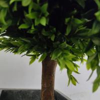 China Fire Retardant Artificial Landscape Trees For Gardens Anti UV 65cm Boxwood Green Bonsai for sale