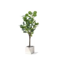 China 120cm 160cm Artificial Ficus Lyrata House Floor Plants Evergreen Refreshing Plants for sale