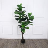 China 120cm 160cm Artificial Ficus Lyrata House Floor Plants Evergreen Refreshing Plants for sale