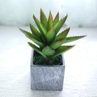China Indoor Decor Artificial Succulent Plant No Nursing Evergreen Four Seasons 50cm Bespoke Bonsai For Hotel Table for sale