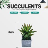 China Indoor Decor Artificial Succulent Plant No Nursing Evergreen Four Seasons 50cm Bespoke Bonsai For Hotel Table for sale