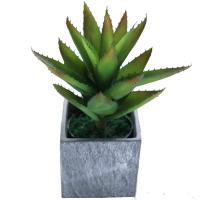 China Indoor Decor Artificial Succulent Plant No Nursing Evergreen Four Seasons 50cm Bespoke Bonsai For Hotel Table for sale