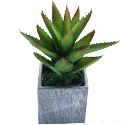 China Indoor Decor Artificial Succulent Plant No Nursing Evergreen Four Seasons 50cm Bespoke Bonsai For Hotel Table for sale