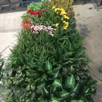 China 6cm Thickness Synthetic Grass With Round Leaf Foliage Artificial Cost Leaf Wall for sale