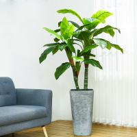China Dieffenbachia Artificial Landscape Plants Anti UV Evergreen Looking Natural Faux Tree for sale