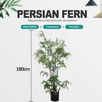 China Faux Fern Small Artificial Potted Floor Plants Bonsai 450cm Wind Resistance for sale