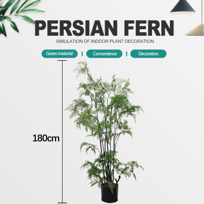 China Faux Fern Small Artificial Potted Floor Plants Bonsai 450cm Wind Resistance for sale