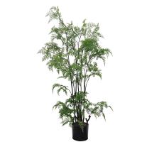 China Middle Size Plastic Plant Artificial Fern Tree For Dining Room for sale