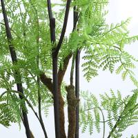 China Middle Size Plastic Plant Artificial Fern Tree For Dining Room for sale