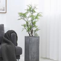 China Middle Size Plastic Plant Artificial Fern Tree For Dining Room for sale