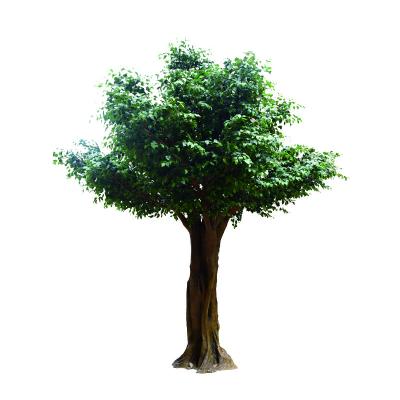 China 1000cm Height Artificial Banyan Tree Big Ficus For Outdoor Amusement Park for sale
