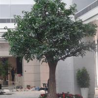 China 1000cm Height Artificial Banyan Tree Big Ficus For Outdoor Amusement Park for sale