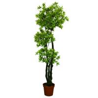 China Restaurant Balcony Artificial Podocarpus Tree Faux Green Plant 1.6m No Nursing for sale