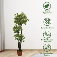 China Restaurant Balcony Artificial Podocarpus Tree Faux Green Plant 1.6m No Nursing for sale