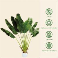 China 2m Fiber Glass Artificial Potted Plant Indoor Evergreen Decorative Banana Tree for sale