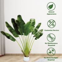 China 2m Fiber Glass Artificial Potted Plant Indoor Evergreen Decorative Banana Tree for sale