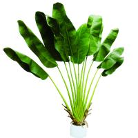 China 2m Fiber Glass Artificial Potted Plant Indoor Evergreen Decorative Banana Tree for sale