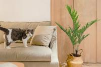 China Home Deco Indoor Fake Palm Trees 40 feet Artificial Kentia Palm for sale