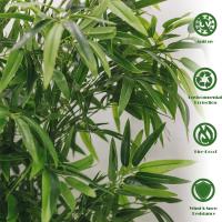 China Real Stem Artificial Bamboo Outdoor UV Resistant Indoor Fire Retardant for sale