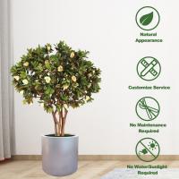 China Environmentally Friendly Artificial Magnolia Tree No Color Fading Evergreen Plants for sale