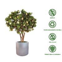 China Environmentally Friendly Artificial Magnolia Tree No Color Fading Evergreen Plants for sale