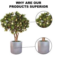 China Environmentally Friendly Artificial Magnolia Tree No Color Fading Evergreen Plants for sale