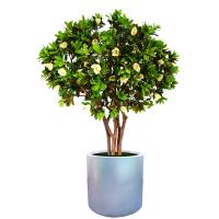 China Environmentally Friendly Artificial Magnolia Tree No Color Fading Evergreen Plants for sale