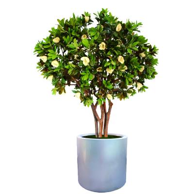China Environmentally Friendly Artificial Magnolia Tree No Color Fading Evergreen Plants for sale