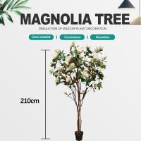 China 210cm Artificial Magnolia Tree For House Office Long Lasting Evergreen Plants for sale